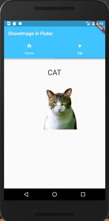 Cara Menampilkan Gambar pada Flutter dengan Penyimpanan Local dan ...