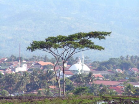 Kabupaten Brebes ~ Bumi Nusantara