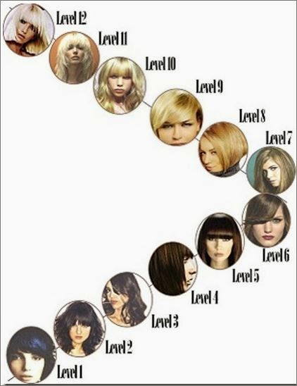 Become a Crib Colorist : Learn the Level System of Hair Color ...