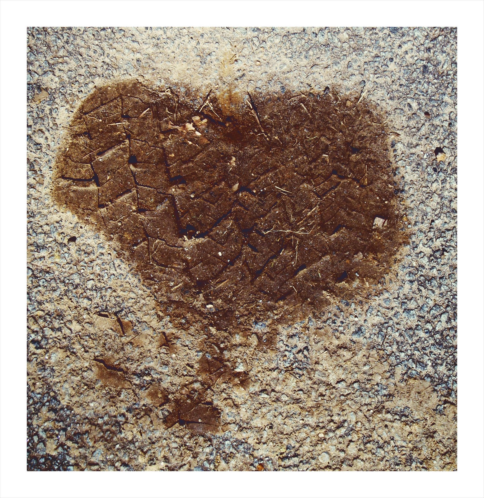 booturtle's show and tell: Nature Heart Scavenger Hunt