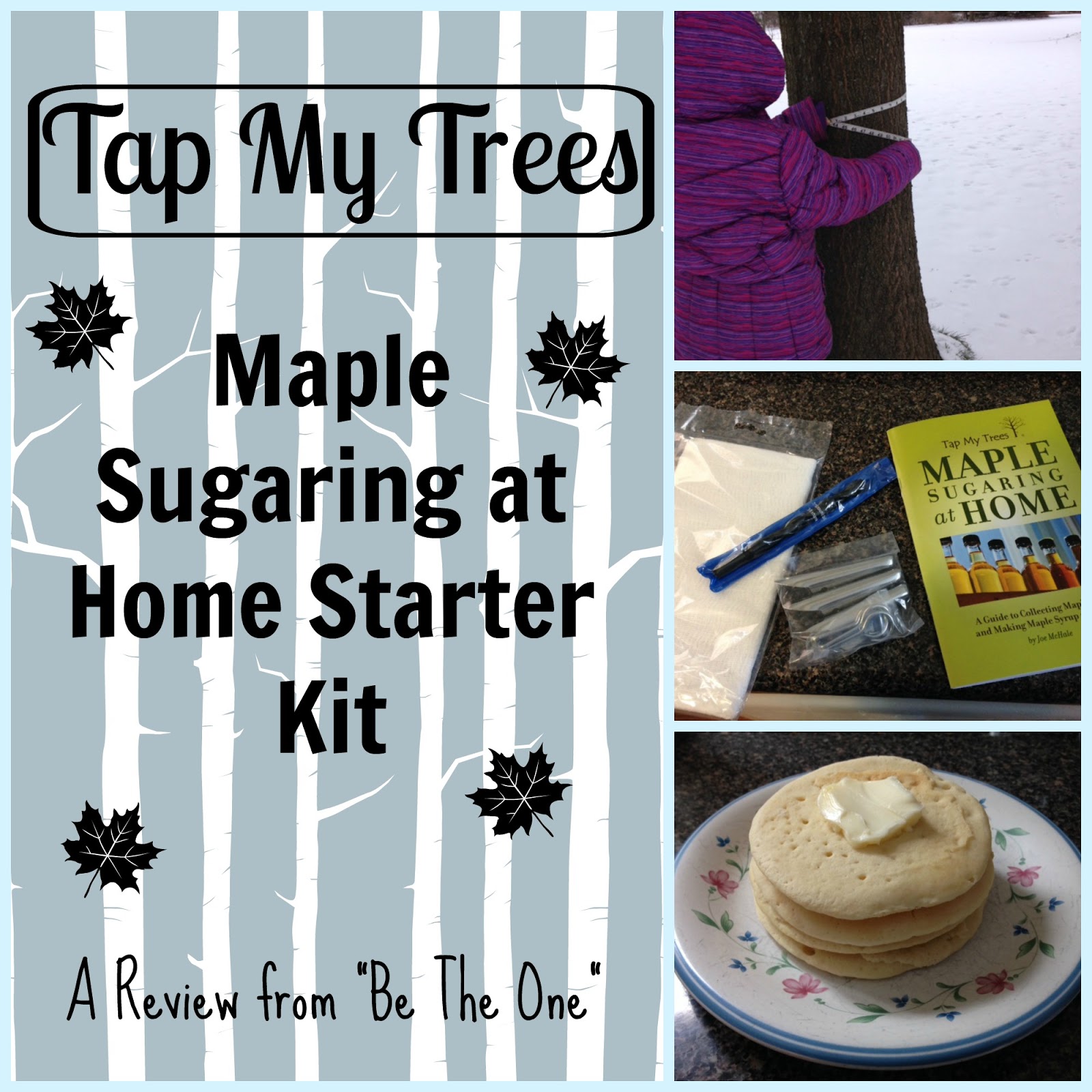 "Be The One" : Review: Tap My Trees