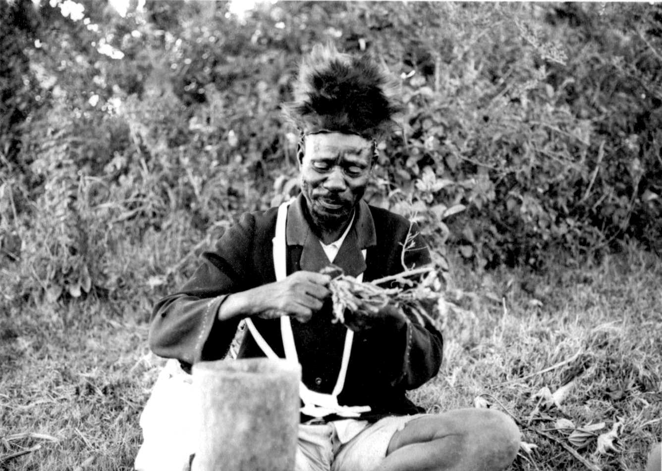 Corfu Blues and Global Views: Traditional African Medicine