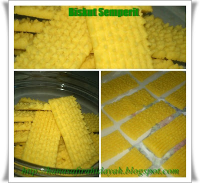 Semperit panjang | Beta Kupu