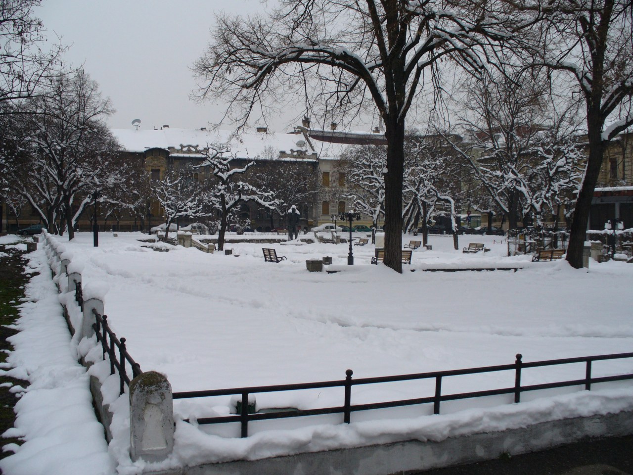 images from Timisoara: Timisoara- Gheorghe Doja park in snow