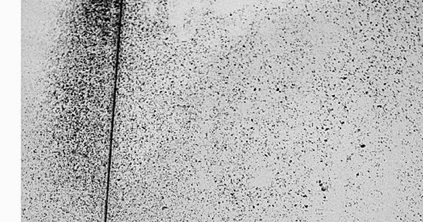 Santería: Mouse On The Keys - (2009) An Anxious Object