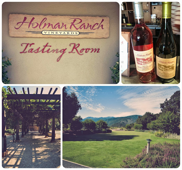 Savvy in San Francisco: Holman Ranch Vineyards - Carmel Valley