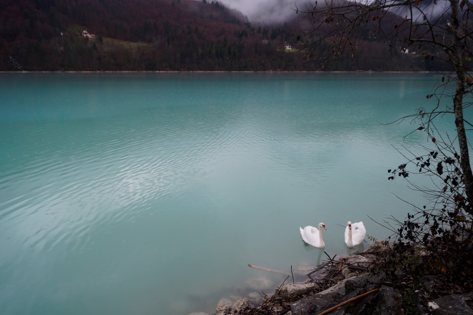 (c)Photography beyond words,poze,fotografii,photo from Romania: Lake of ...