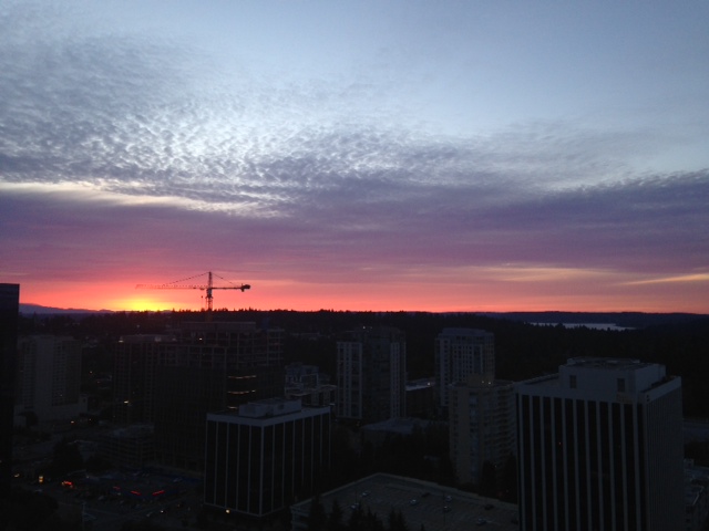 Trina's page of Blogginess: Spectacular Seattle Summer Sunset