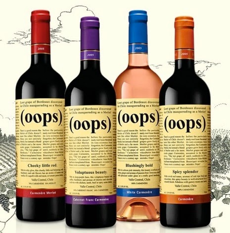 Most Funniest Wine Labels | Funny Collection World