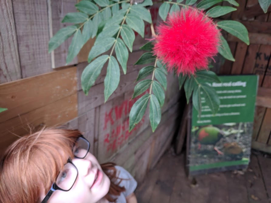 10 Reasons to Visit the Eden Project in Winter | North East Family Fun