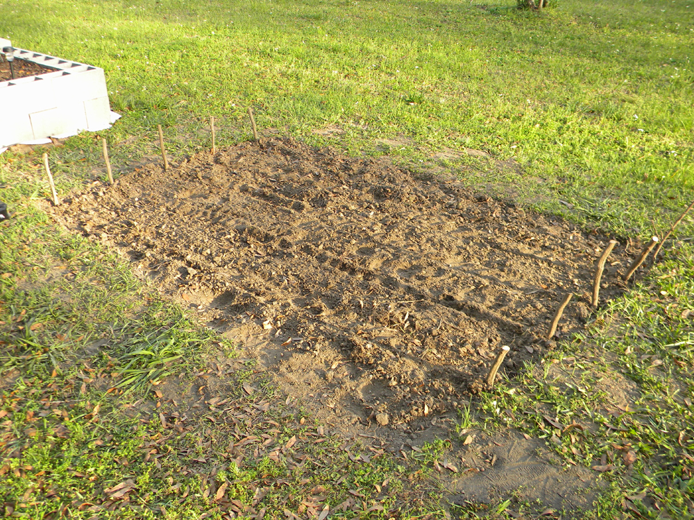 Booth's Little Farm: Corn Patch, Potting Table, and Raised Bed Garden ...