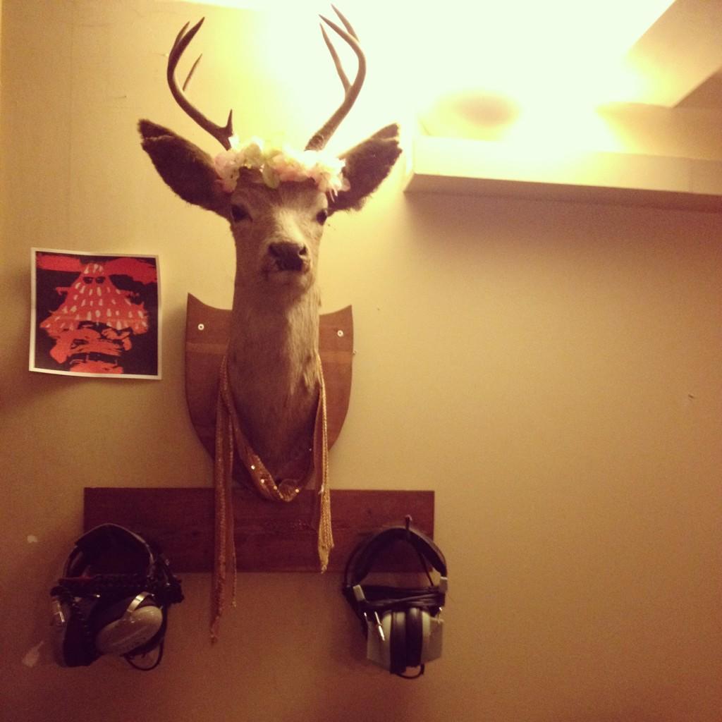 cleveland854321: LOST IN SOUTH AMERICA