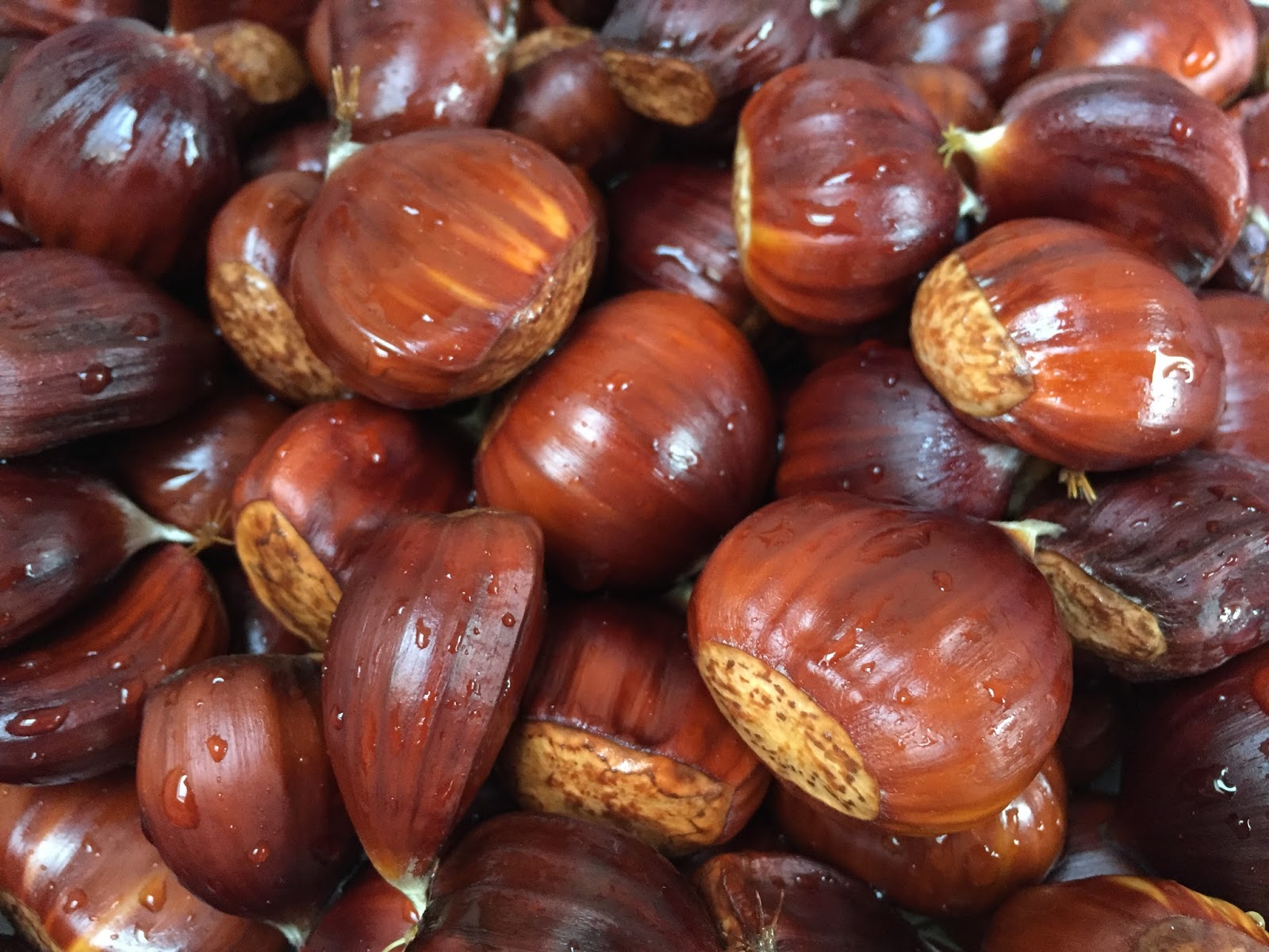 Kyoko.B bakes: Sweet Chestnut Puree