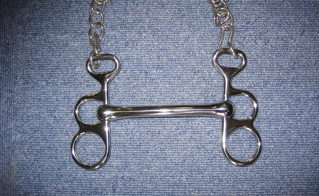 French Vocabulary Illustrated: mors