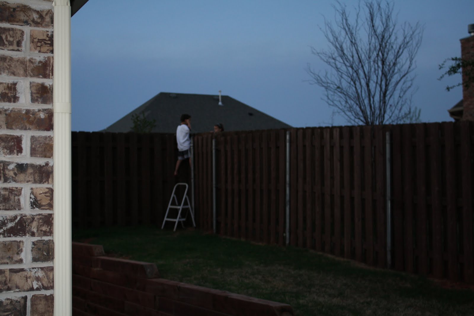 Adventures in Motherhood: Hey neighbor.....