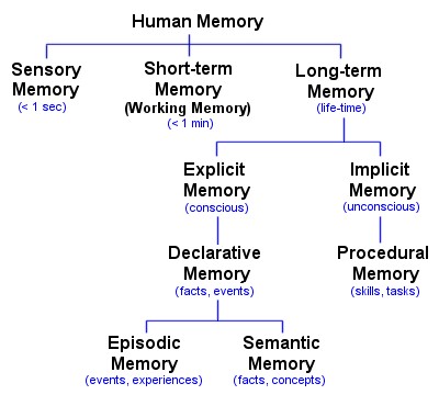 Hacking The Brain: Memory - Remembering Names