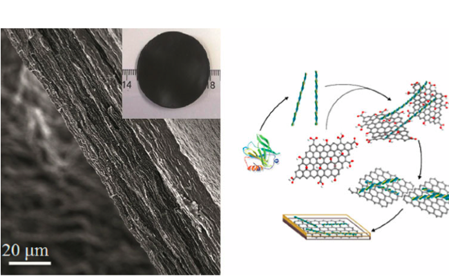 New paper made of graphene and protein fibrils | NextBigFuture.com
