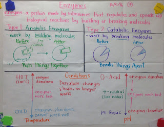 Mrs. Paul - Biology: Biology 2016-2017 Charts/Notes