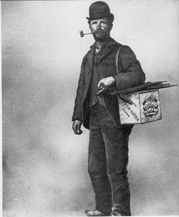 History and Politics-- by Dennis A. Wilson: TRAMPS