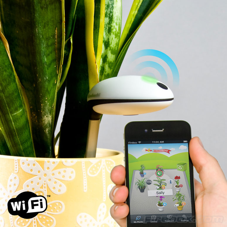 반려식물을 위한 5섯가지 활동적 추적기 : 네이버 블로그