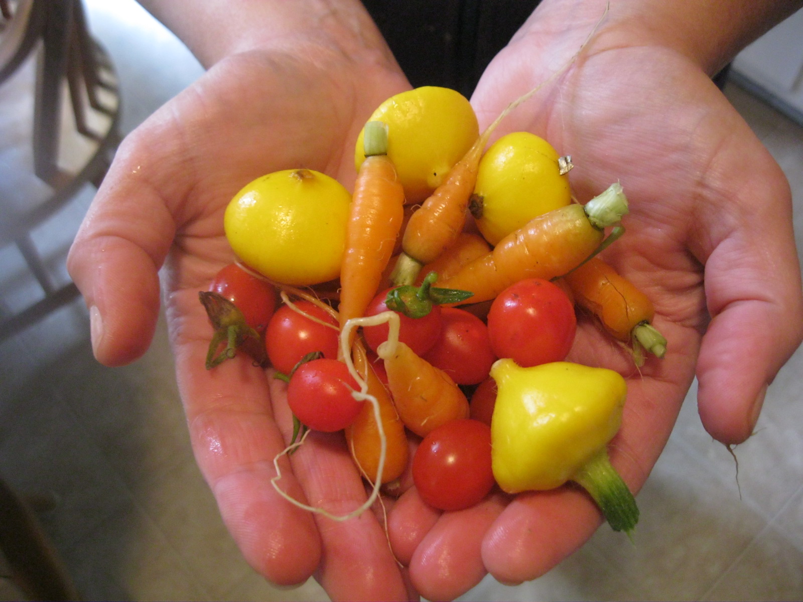 gumboot goddess in the kitchen: cute mini veggies