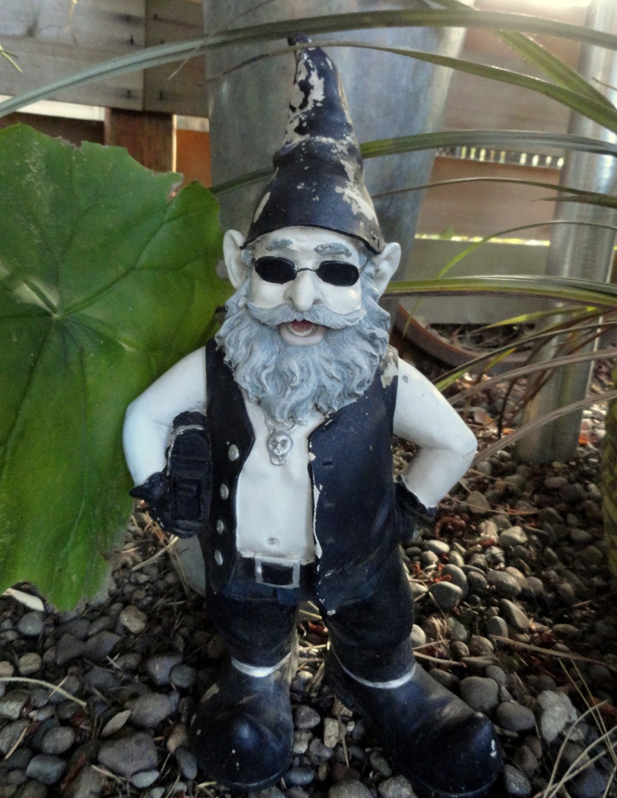danger garden: I've been gnomed....