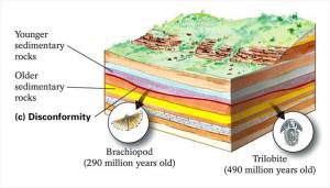 Jenis Ketidakselarasan (Unconformity) - Geograph88