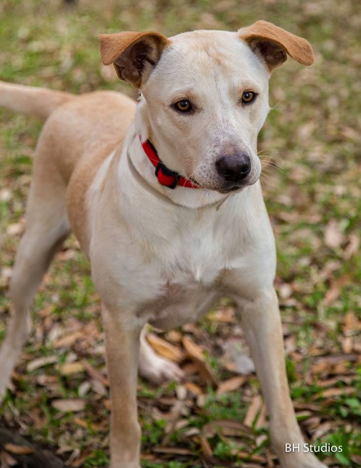 Ema's Grand Ideas: Kason