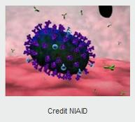 Avian Flu Diary: Influenza & Other Resp. Viruses.: Airborne & Fomite ...