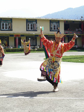 ASOCIACION CHOGAR GONG: LA CORONA NARANJA