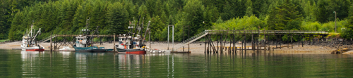 Engelenbak Adventures: Bait Fishing in Excursion Inlet’s Sawmill Bay ...