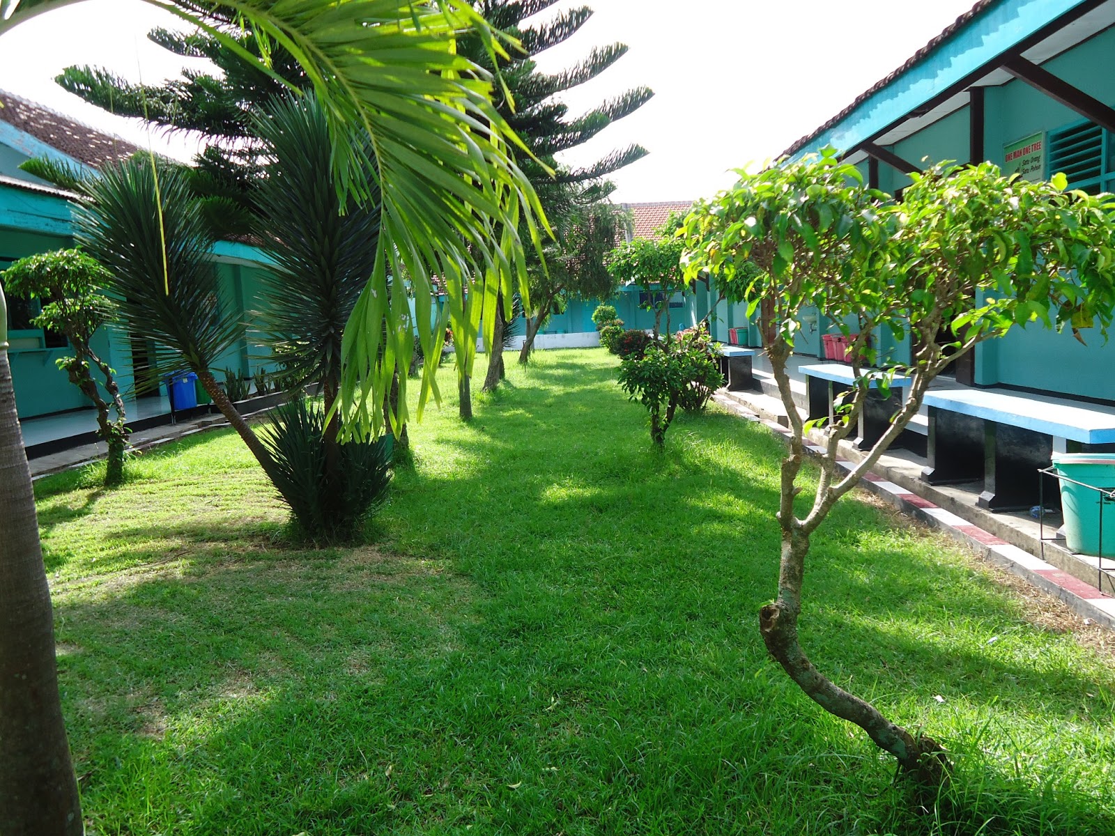 ART OF UNITED: OUR GREEN CORNER (Sudut Hijau Kita)