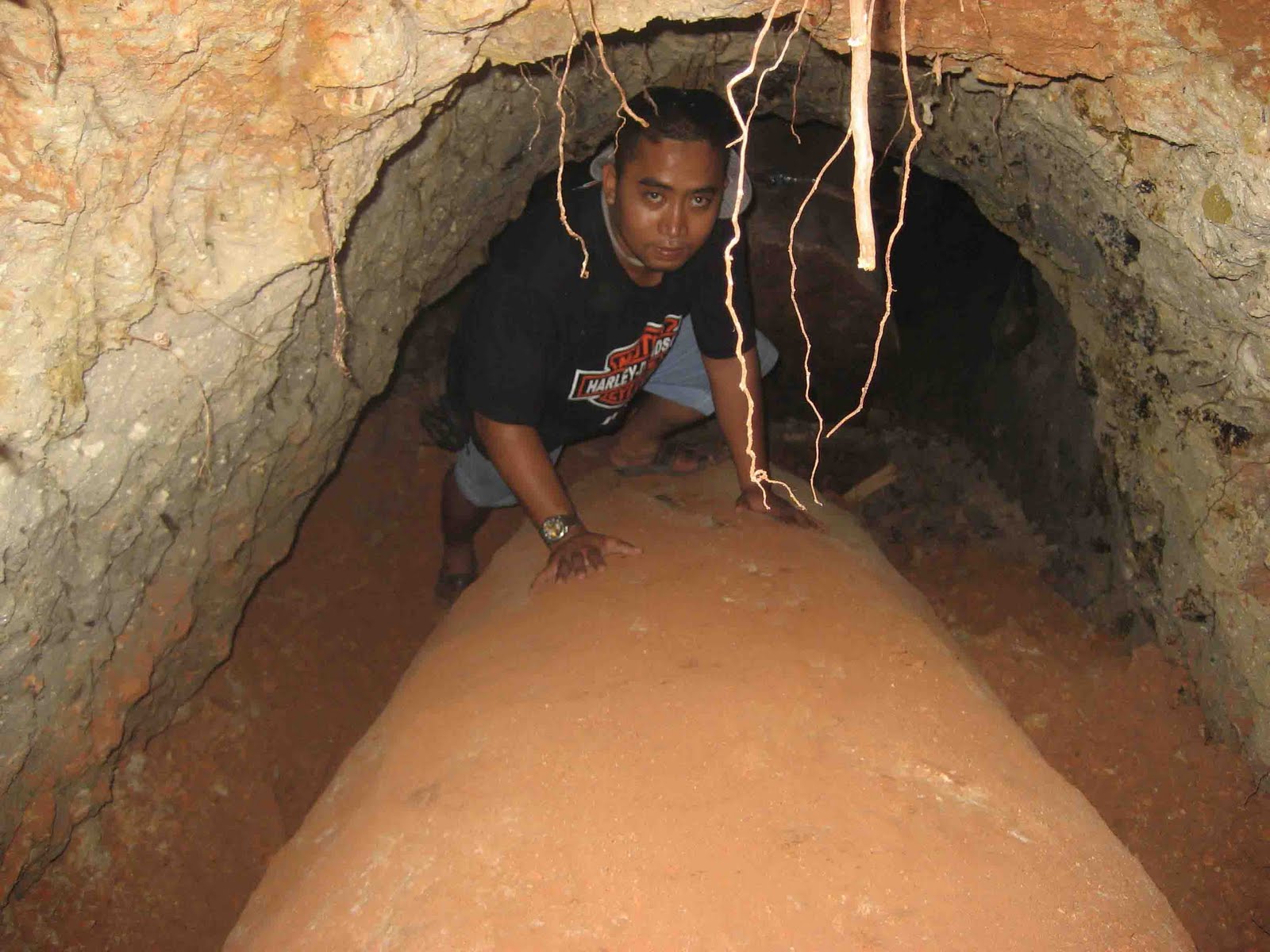 Fossil Wood indonesia: Digging Out Petrified Wood Process