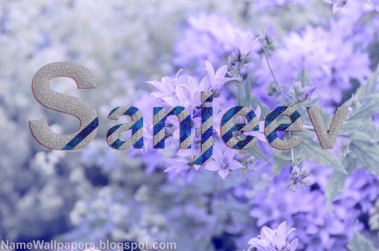 Sanjeev Name Wallpapers Sanjeev ~ Name Wallpaper Urdu Name Meaning Name ...