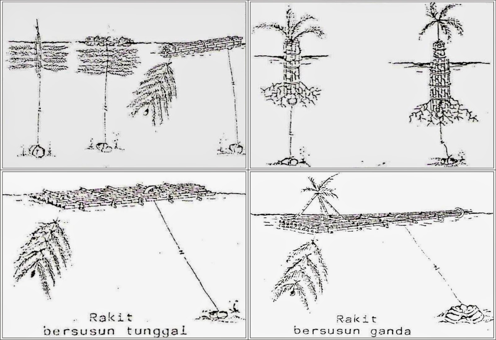 Rumpon atau Payao : Alat Pengumpul Ikan - Lalaukan