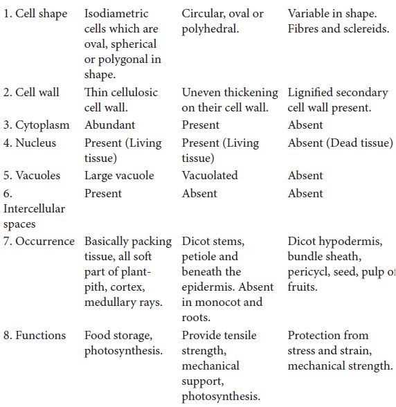 Online Notes on Chapter = 6 ( TISSUE) Part 2 - | Bioinformatics