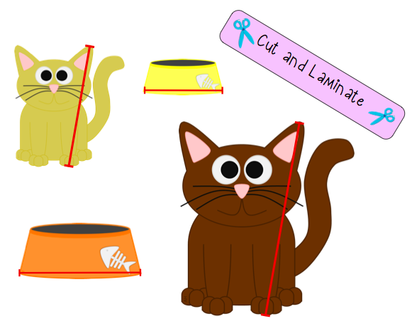 The Teacher's Chair: We're Measuring Cats and Dogs!
