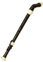 Resipi Muzik Saya: Jenis-jenis Rekoder