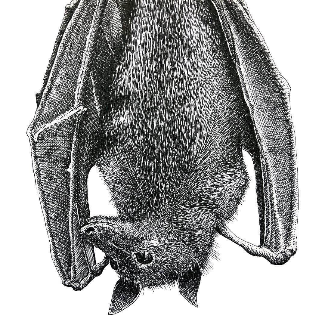 Design Stack: A Blog about Art, Design and Architecture: Animal ...