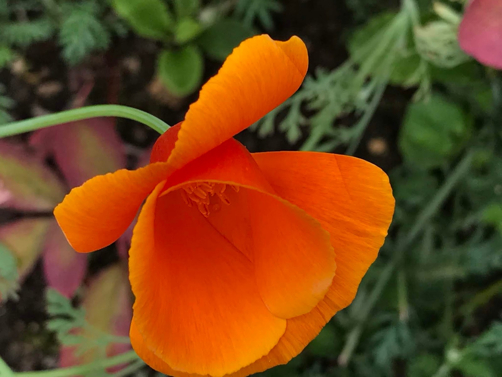 The Helpful Art Teacher: Photography 101: types of camera shots