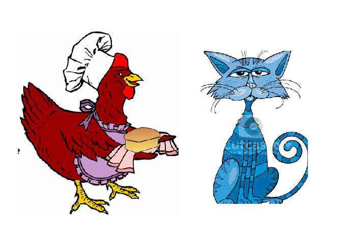 Beneath the Wraps: The Big Red Hen and the Tired Blue Cat