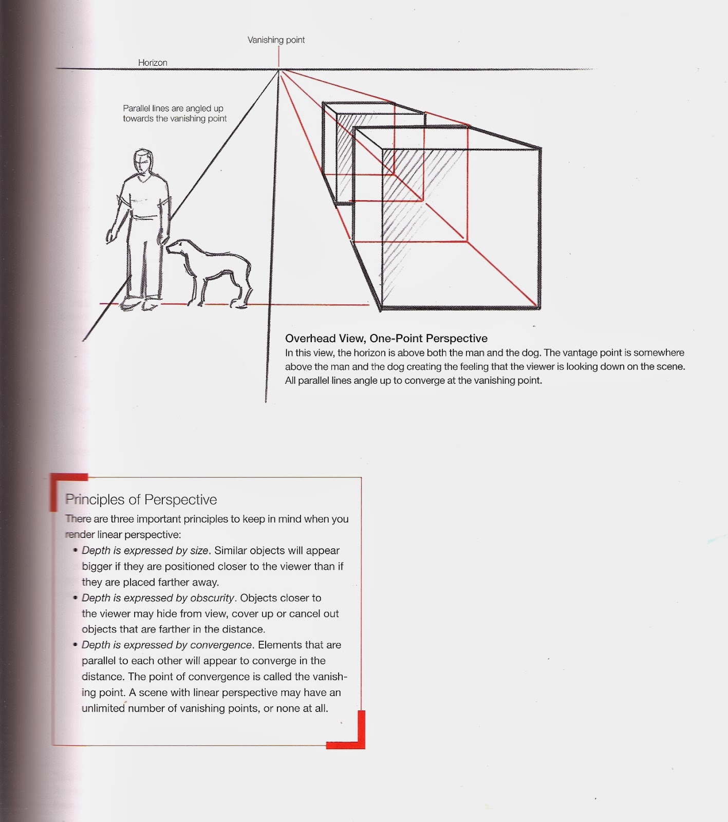 Gilly Marklew watercolour artist and tutor: Reference for this week's ...