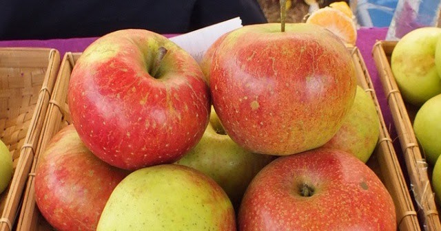 TIPSku: Semua Tentang Buah Apel, Klasifikasi, Jenis dan Manfaat