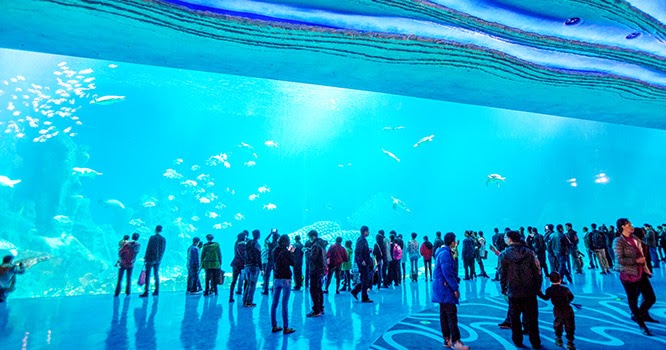 Did You Know ?: Top 3 World's Largest Aquariums