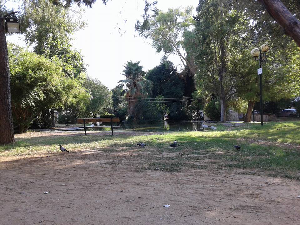 ΓΙΑΝΝΗΣ Δ.ΛΥΡΑΣ: ΛΑΟΓΡΑΦΙΚΟ ΑΓΡΟΤΙΚΟ ΜΟΥΣΕΙΟ ΚΑΛΑΜΑΤΑΣ,5η Έκθεση "Αρτος ...