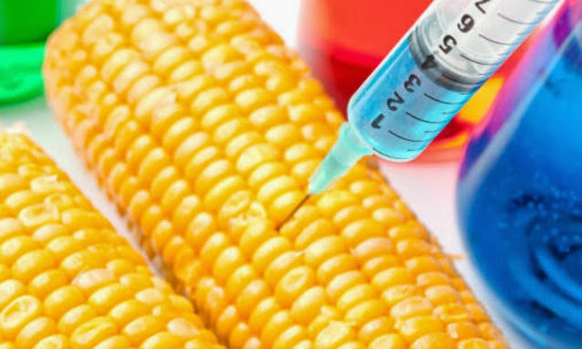 SCIENTIFICAmente: LA BIOTECNOLOGIA E GLI OGM