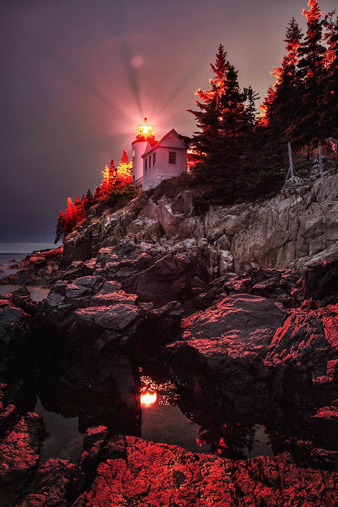 :: Alexandra Proaño 3D - Green Pear Diaries ::: Scott Stulberg, la ...