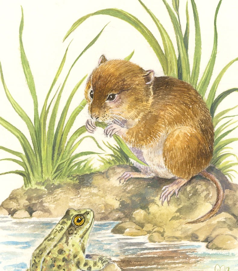 Unfaithful Friendship : Heart Touching Moral Story for Kids ~ Moral ...