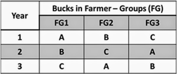 Options to Improve Traditional Goat Breeding: Buck Rotation