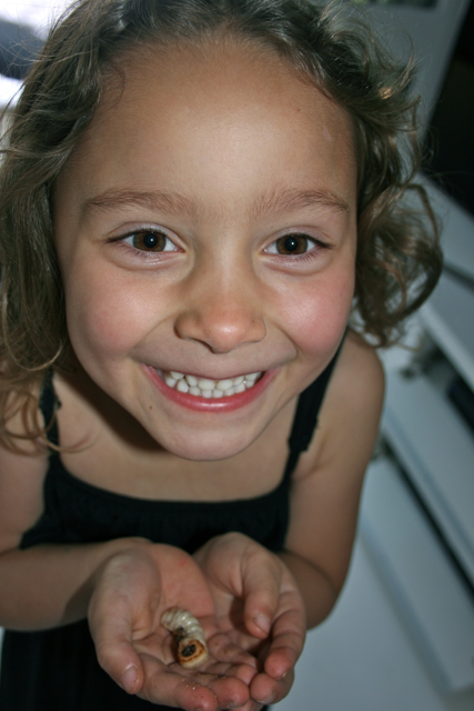 Little and Hip: Witchetty grub!